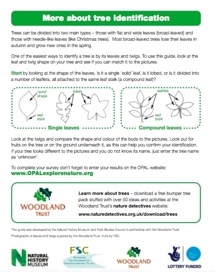 Do You Know Your Trees? - Fleet Pond Society