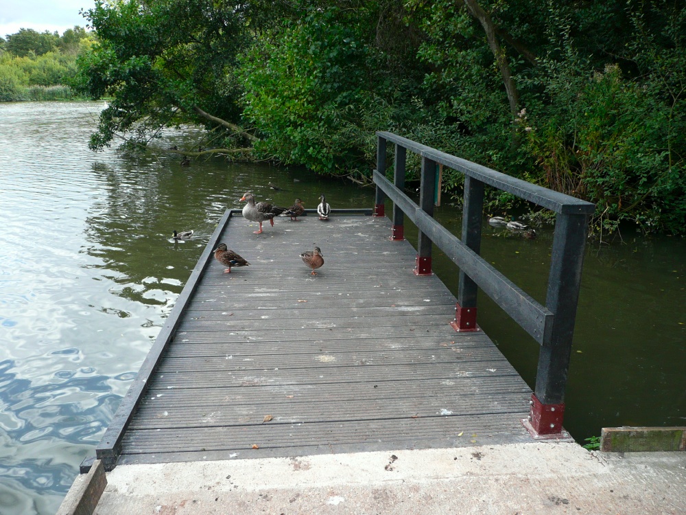 The New Fishing Jetties - Fleet Pond Society