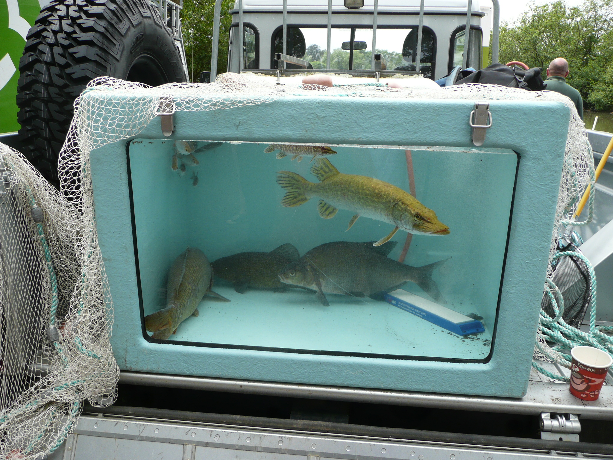 Photos From Fleet Pond Wildlife Day 2014 - Fleet Pond Society