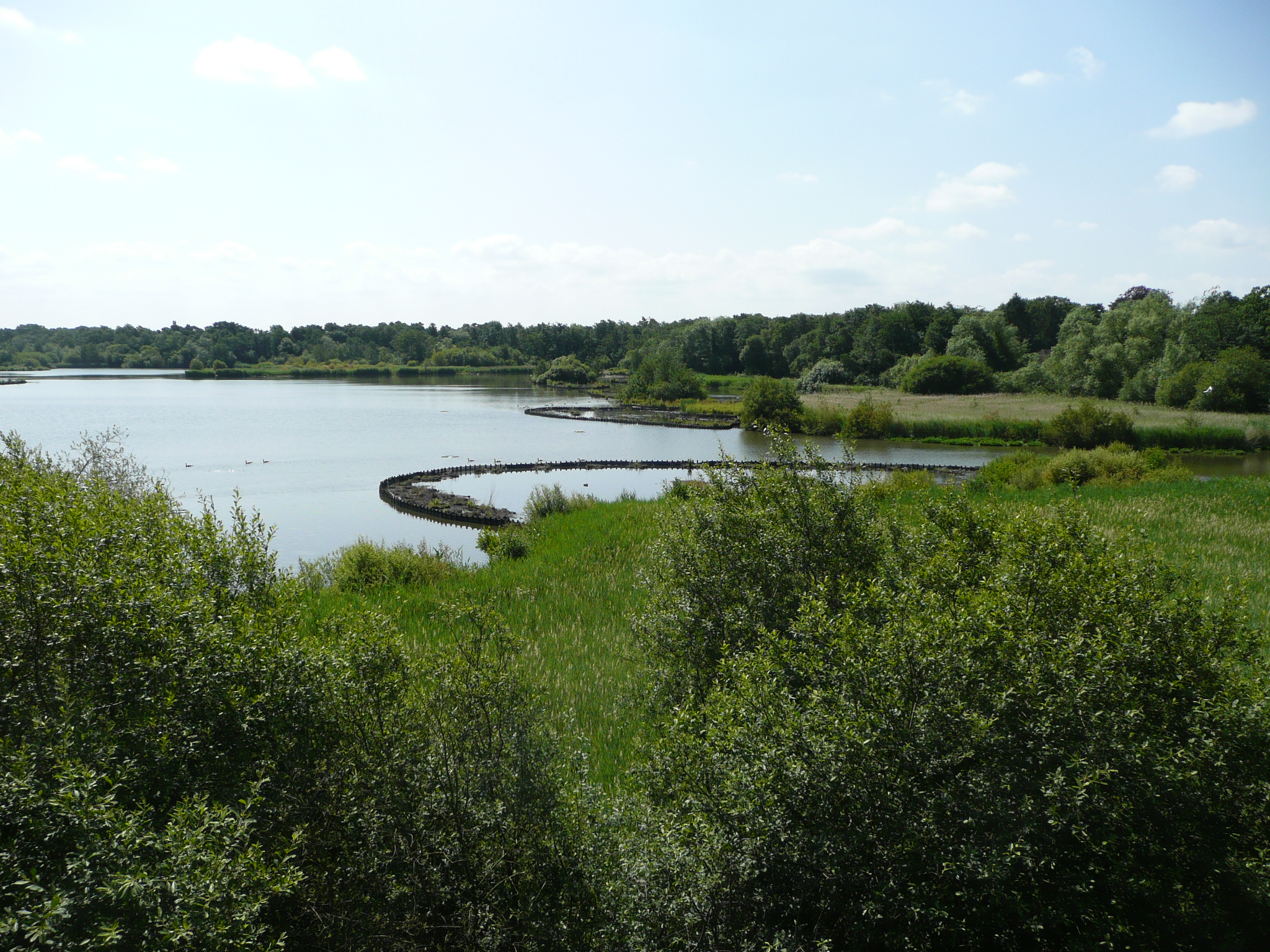 Impressive New Views Of The Pond - Fleet Pond Society