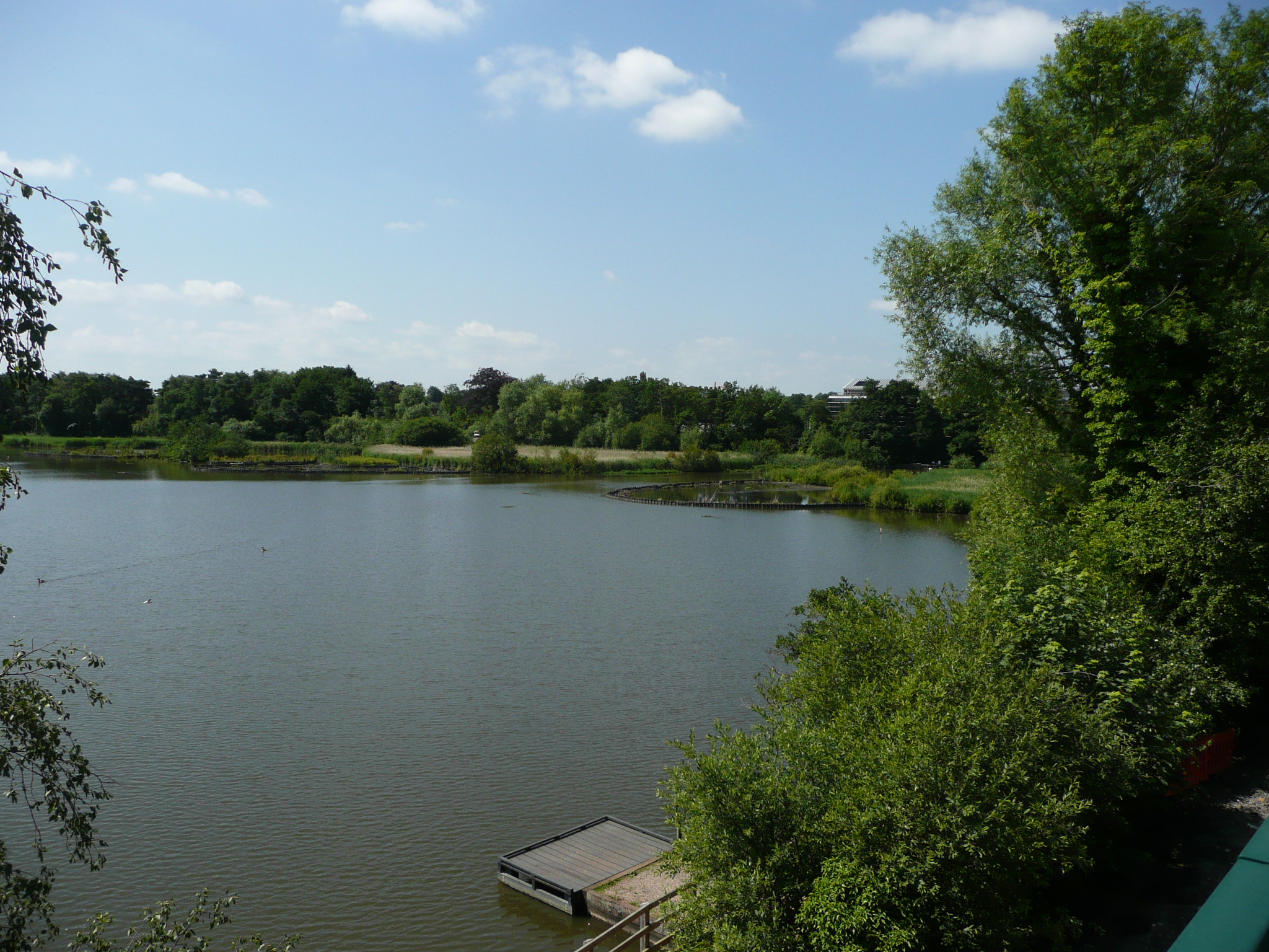 Impressive New Views Of The Pond - Fleet Pond Society
