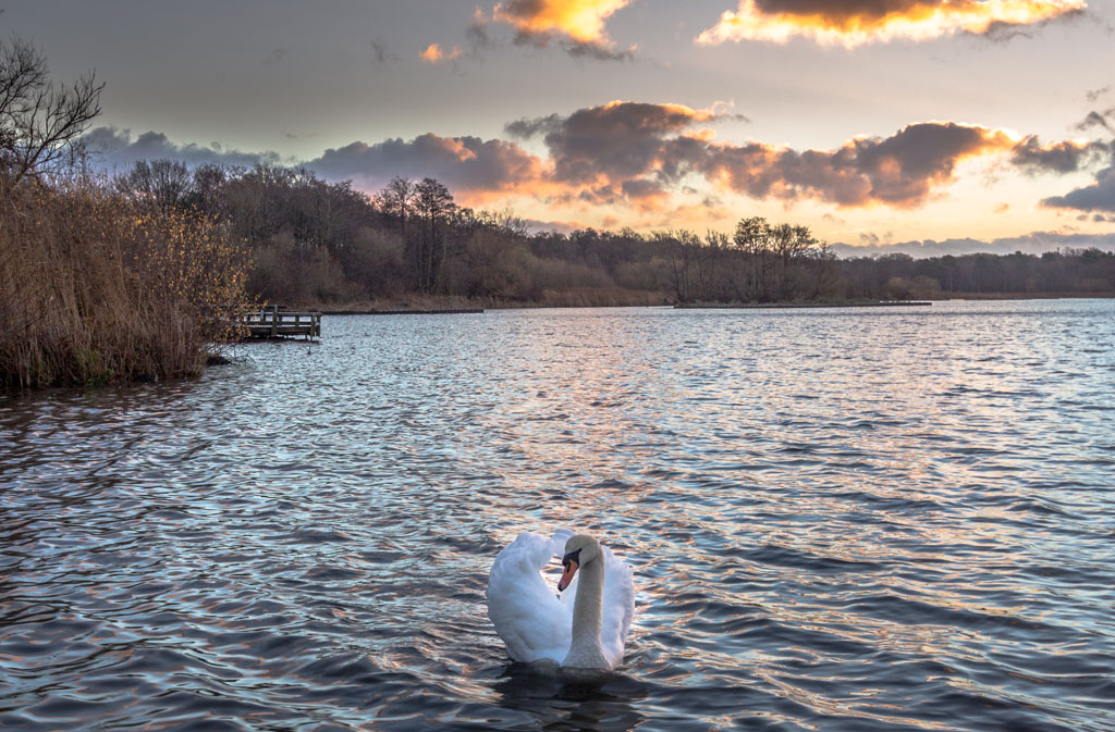 Local Photography Competitions And Fleet Pond - Fleet Pond Society
