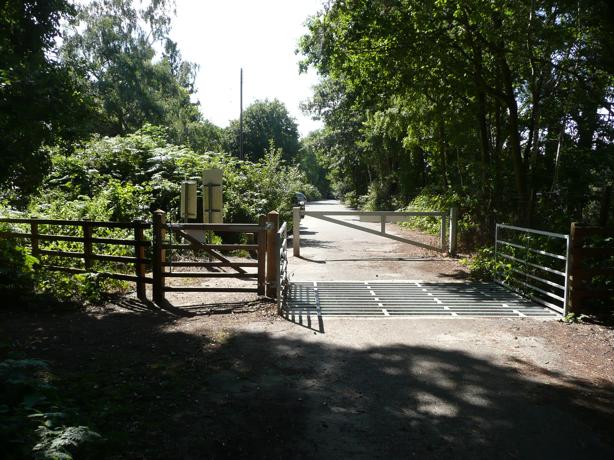 Exploring Fleet Pond And It’s Environs - Fleet Pond Society
