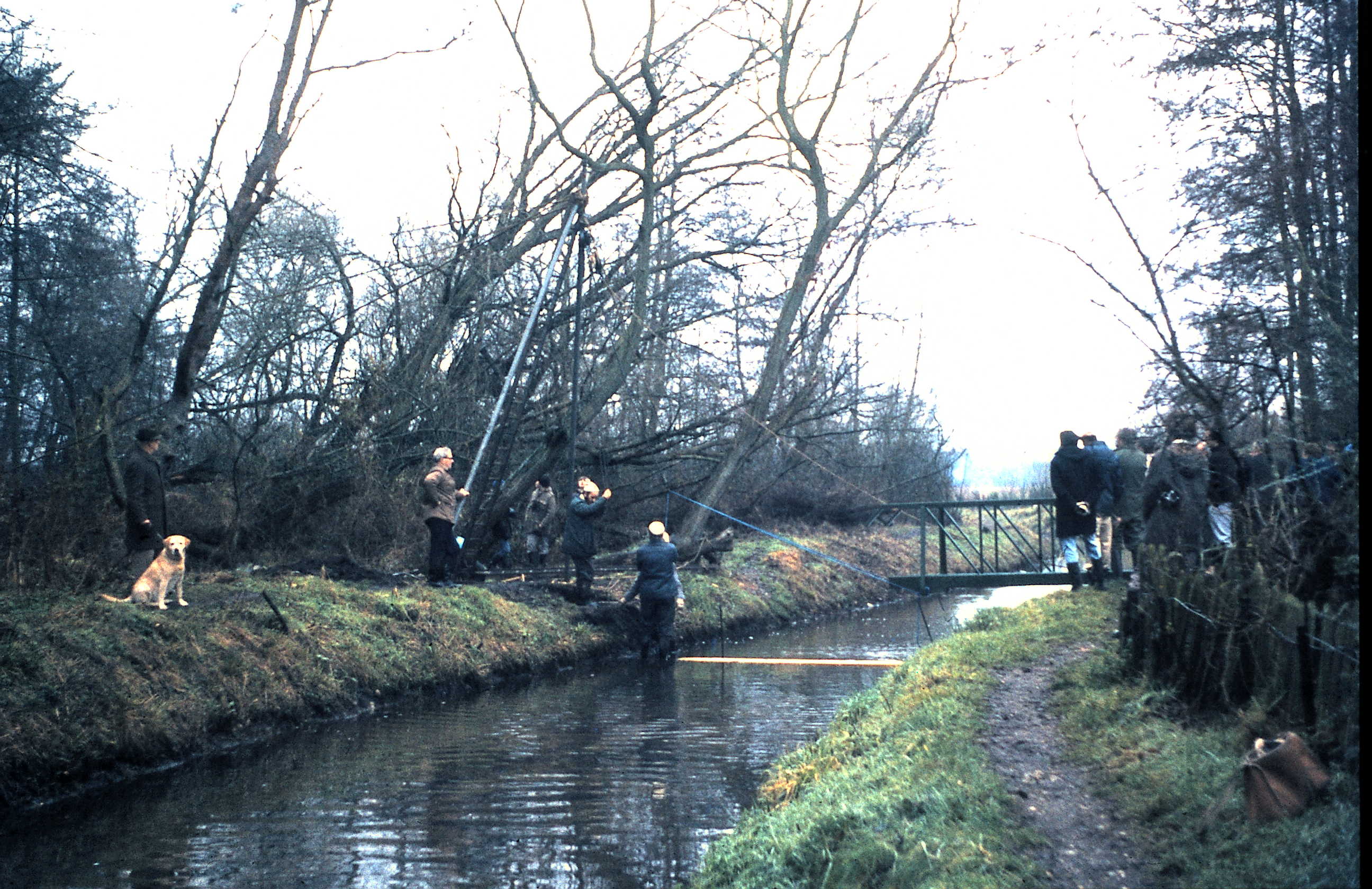 Forty Years On: Circumnavigating the Pond - Fleet Pond Society