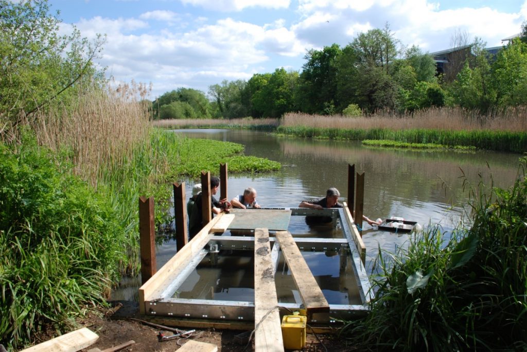 Full of Life at Fleet Pond - Fleet Pond Society