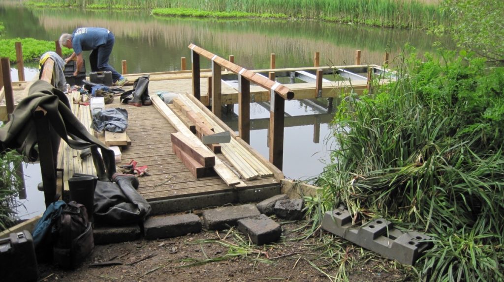 The Birth of the New Pond Dipping Platform - Fleet Pond Society
