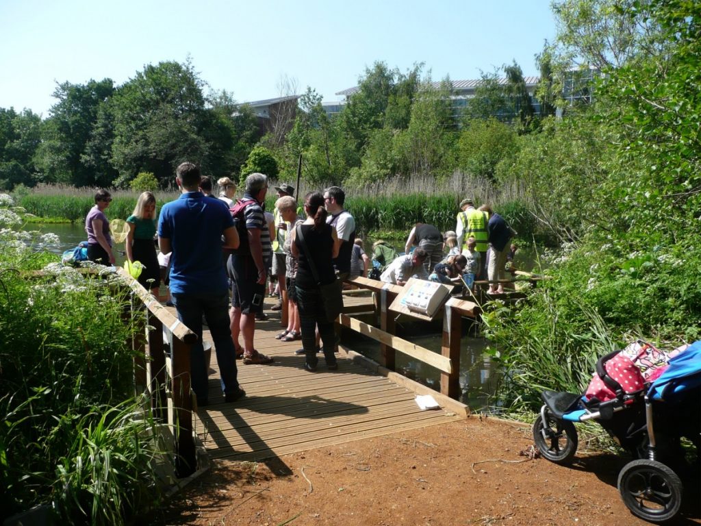 The Birth of the New Pond Dipping Platform - Fleet Pond Society