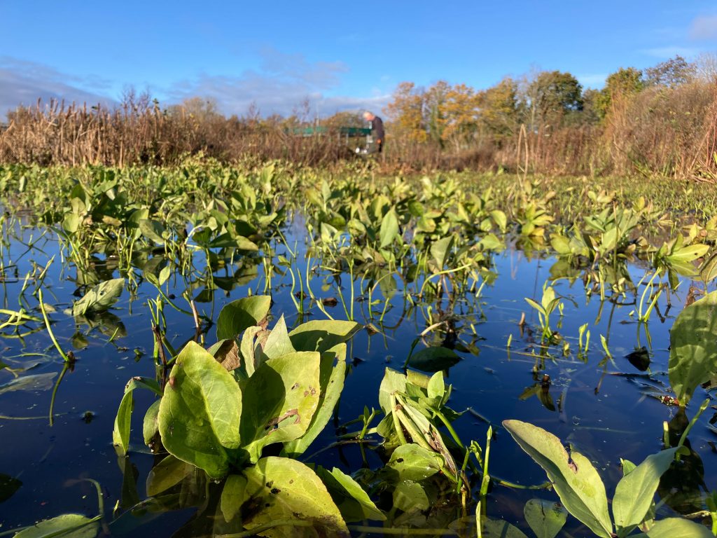 Blog | Fleet Pond Society